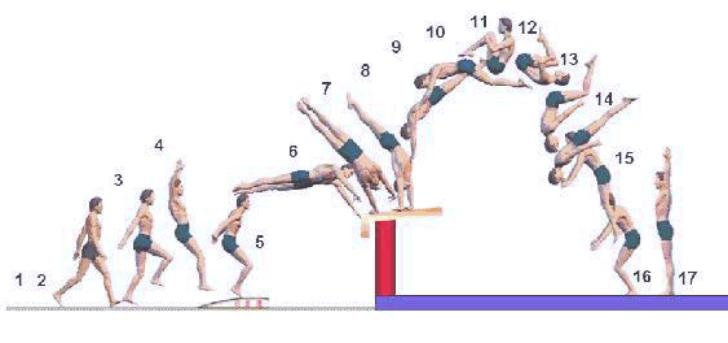 צוקהארה לאחור – הבלוג של גריידי